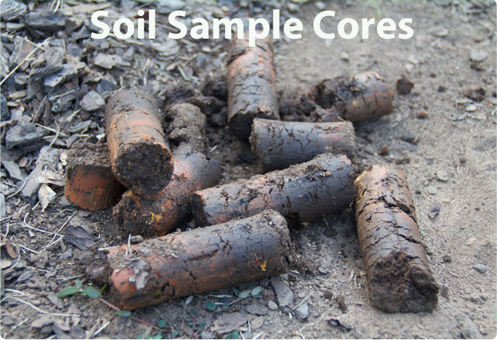 Understanding Your Tele-Turf Soil Analysis - Blue Duck Lawn Care